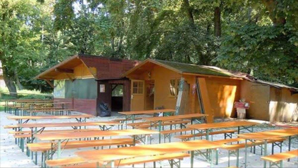 Ausflug mit Hund zu den Wölfen im Wildpark Ernstbrunn, NÖ | Hundereise